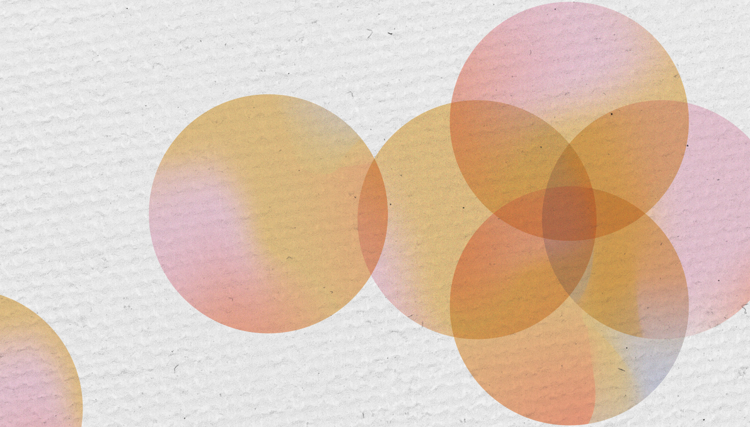 Inclusive marketing: why transparency works | Ologie